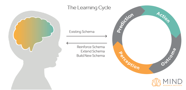 What the Perception-Action Cycle Tells Us About How the Brain Learns