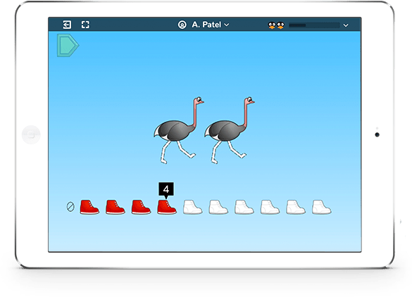Conceptual Understanding vs. Procedural Fluency