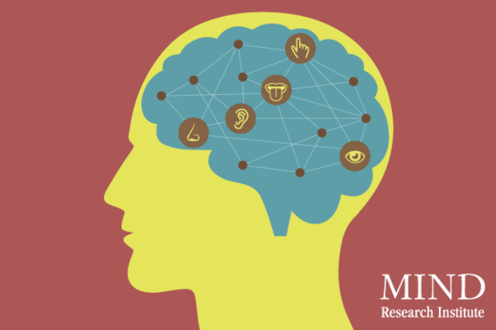 Neuromyth: Do Learning Styles Matter?