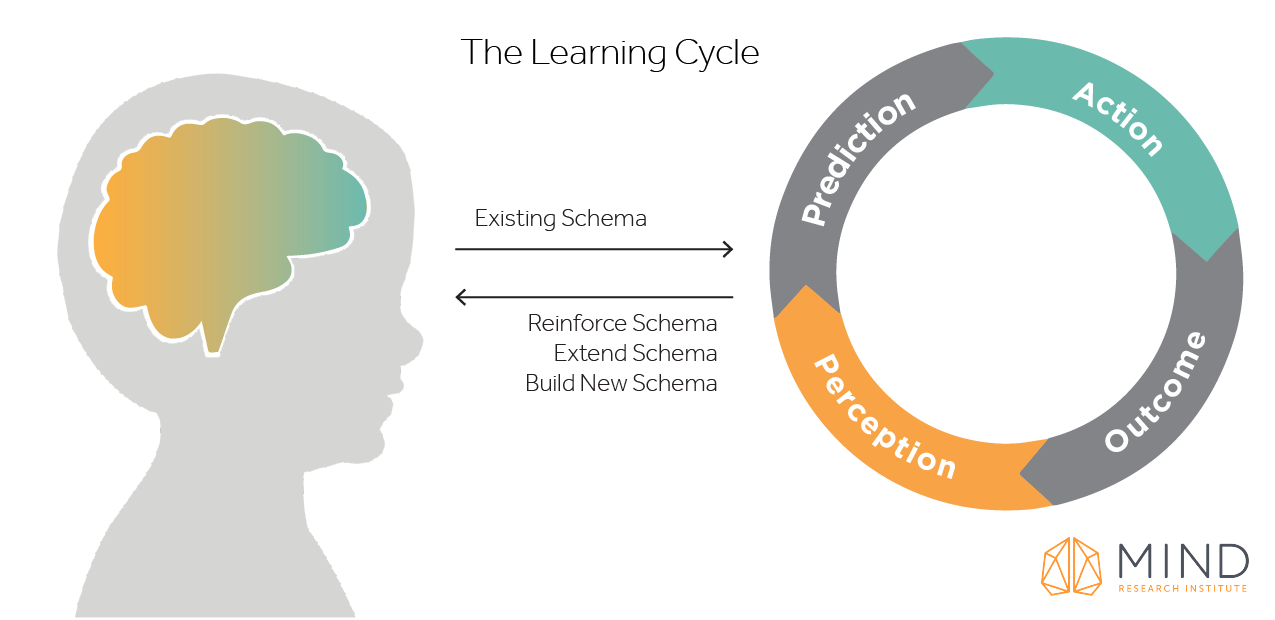 What the Perception-Action Cycle Tells Us About How the Brain Learns